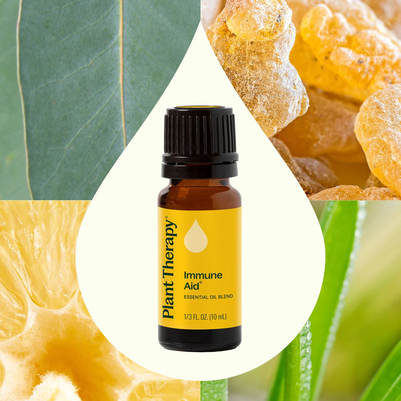 Immune Aid Synergy – Plant Therapy Australia