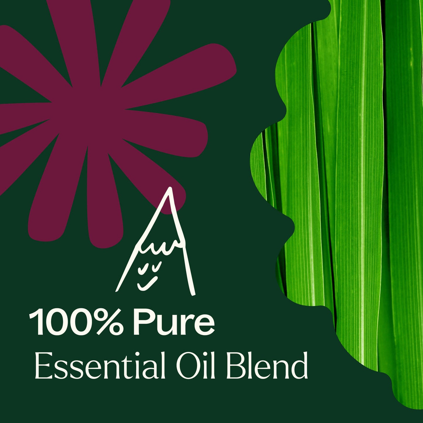 Nature Shield Synergy – Plant Therapy Australia