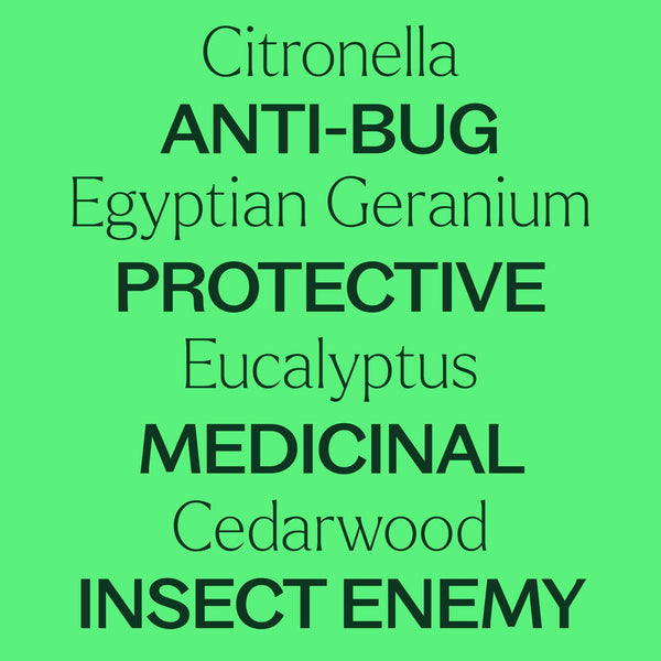 Nature Shield Synergy – Plant Therapy Australia