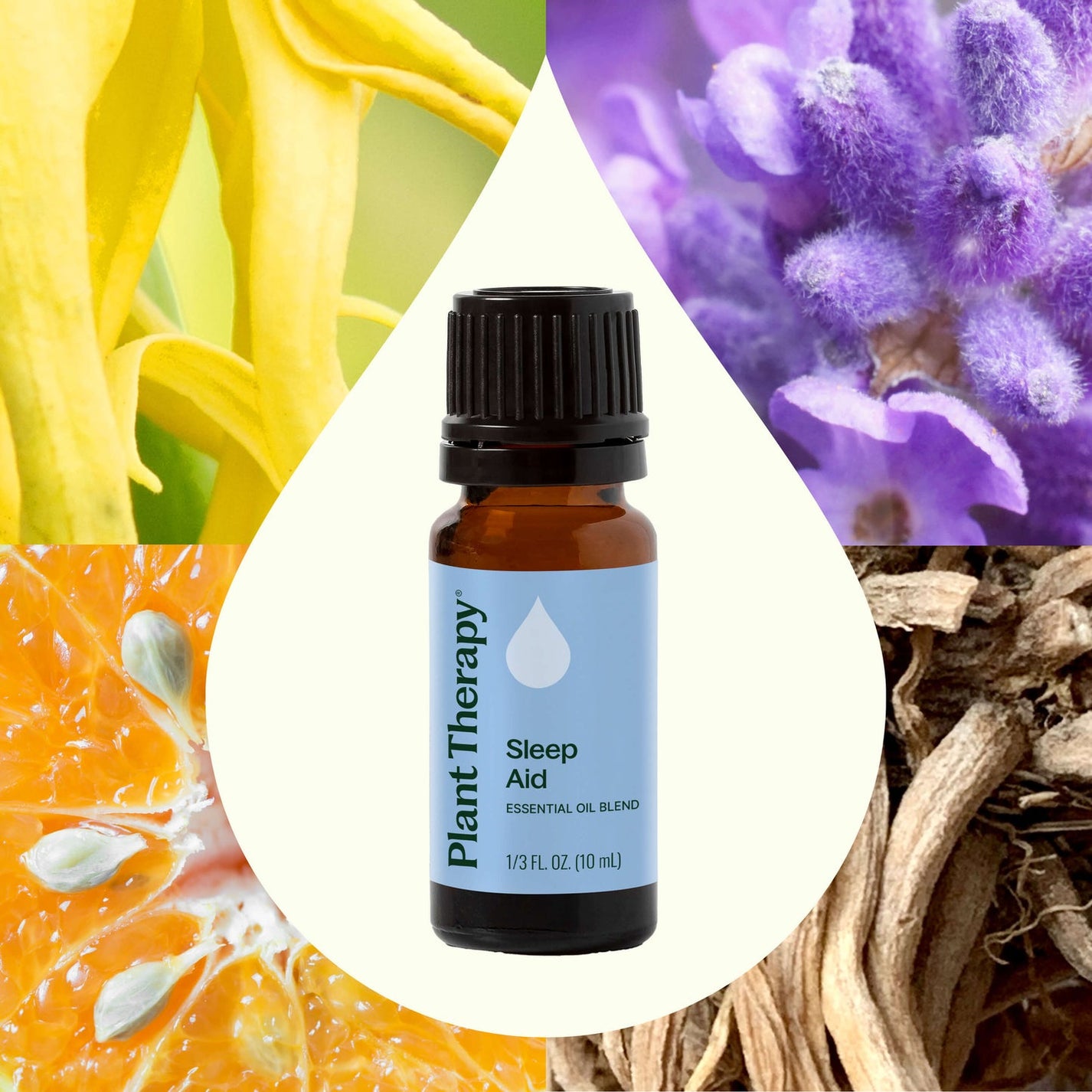Sleep Aid Synergy – Plant Therapy Australia