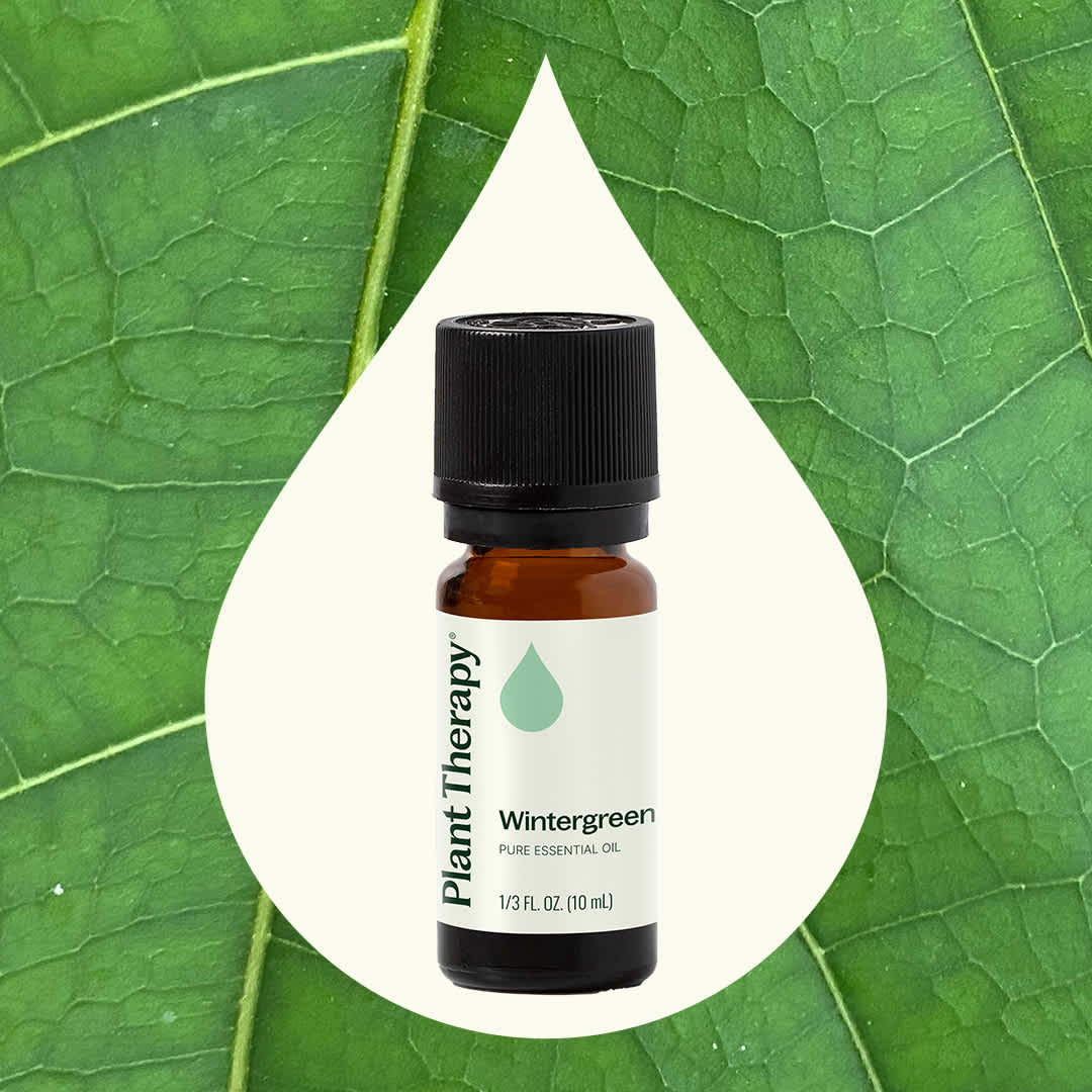 Wintergreen Essential Oil – Plant Therapy Australia
