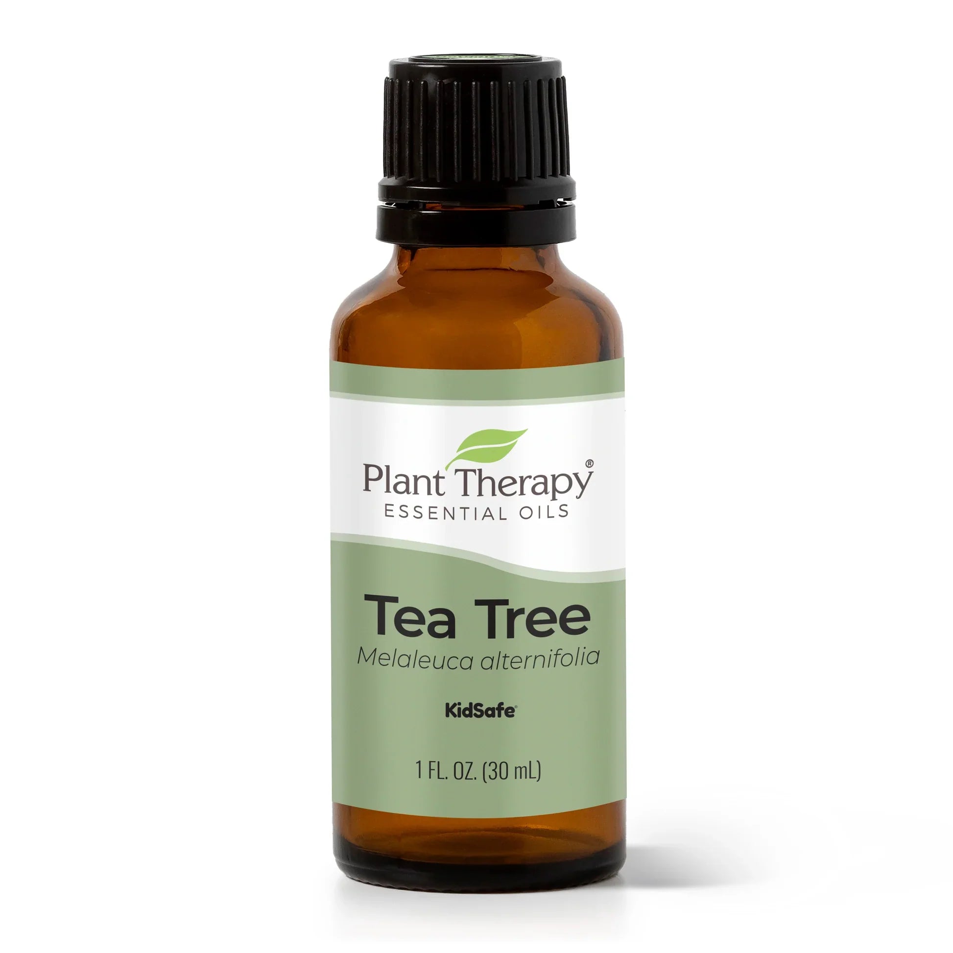 Tea Tree Essential Oil – Plant Therapy Australia